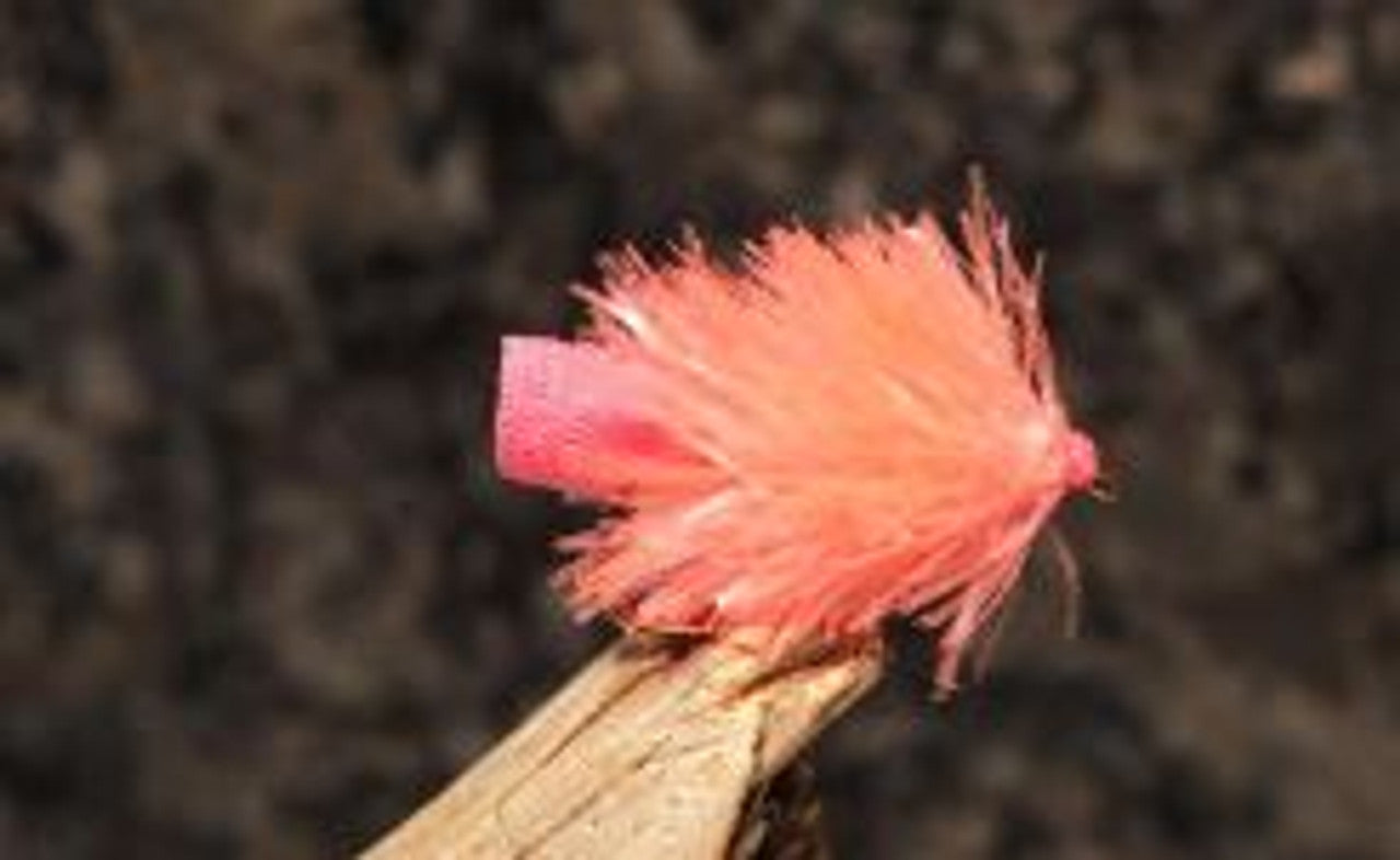 FNF JELLY FRITZ – Fred's Custom Tackle Ltd.